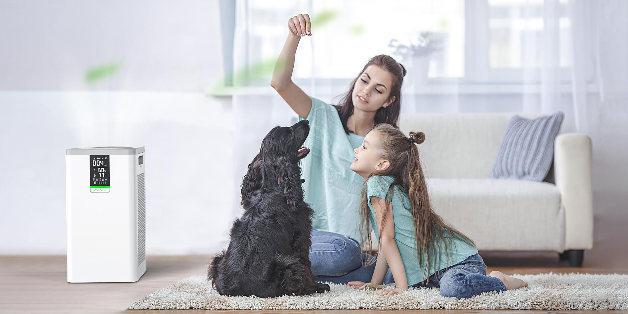 Vocolinc smart air purifier vap1 store